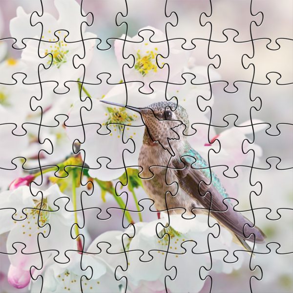Annas Hummingbird Small Puzzle – Appalachianspring.com